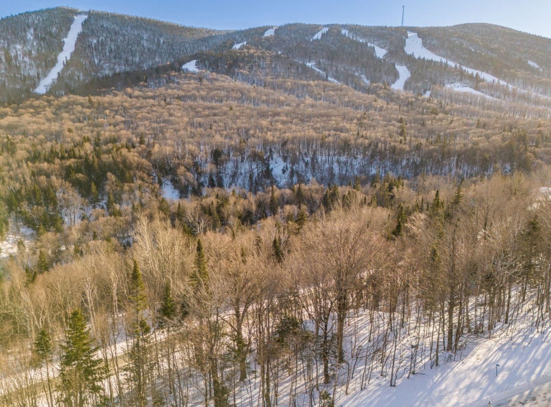 Route du Massif S., Saint-Philémon, Québec G0R 4A0 Other for Sale ...
