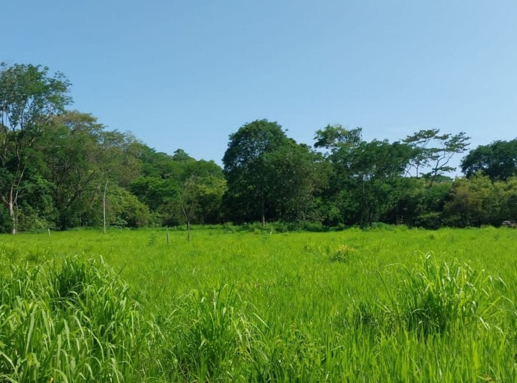 Last updated on : 04 Sep 2025