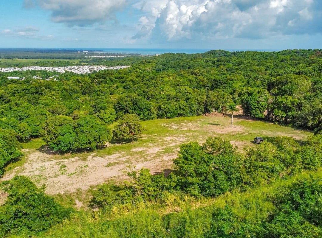 Last updated on : 01 Jan 2026