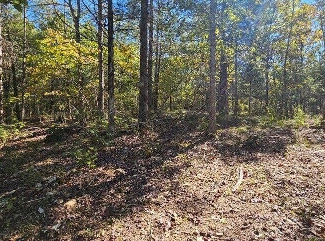 000 Rolling Hills Block 11 Lot 22, Theodosia, MO 65761 Other for Sale ...