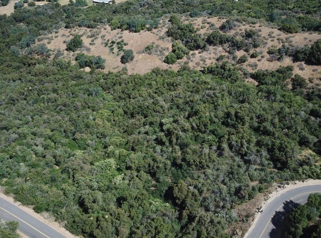 15 Acres, Miramonte, CA 93641 House for Sale - RealEstate KH