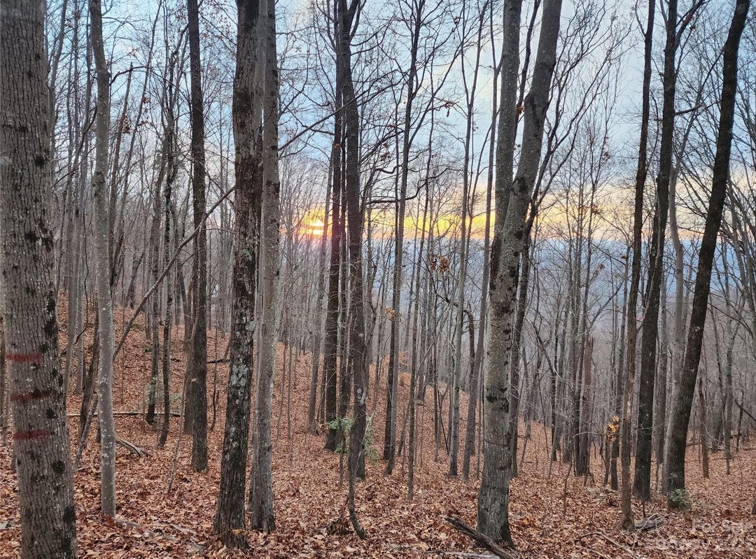 22 Mountain Lookout Drive, Bostic, NC 28018 Other for Sale - RealEstate KH