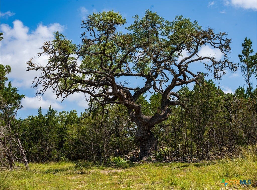 000 Oak Valley Ranch, Dripping Springs, TX 78676 Other for Sale ...