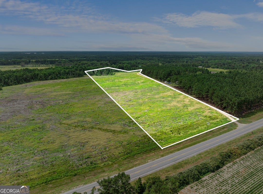 19.13 ACRES Highway 301 N, Statesboro, GA 30458 Other for Sale ...
