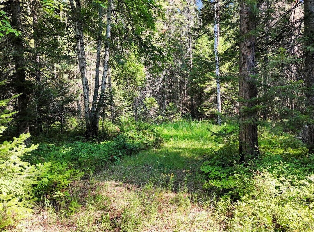 238 RUSTIC RD, CUSICK, WA 99119 Other for Sale - RealEstate KH