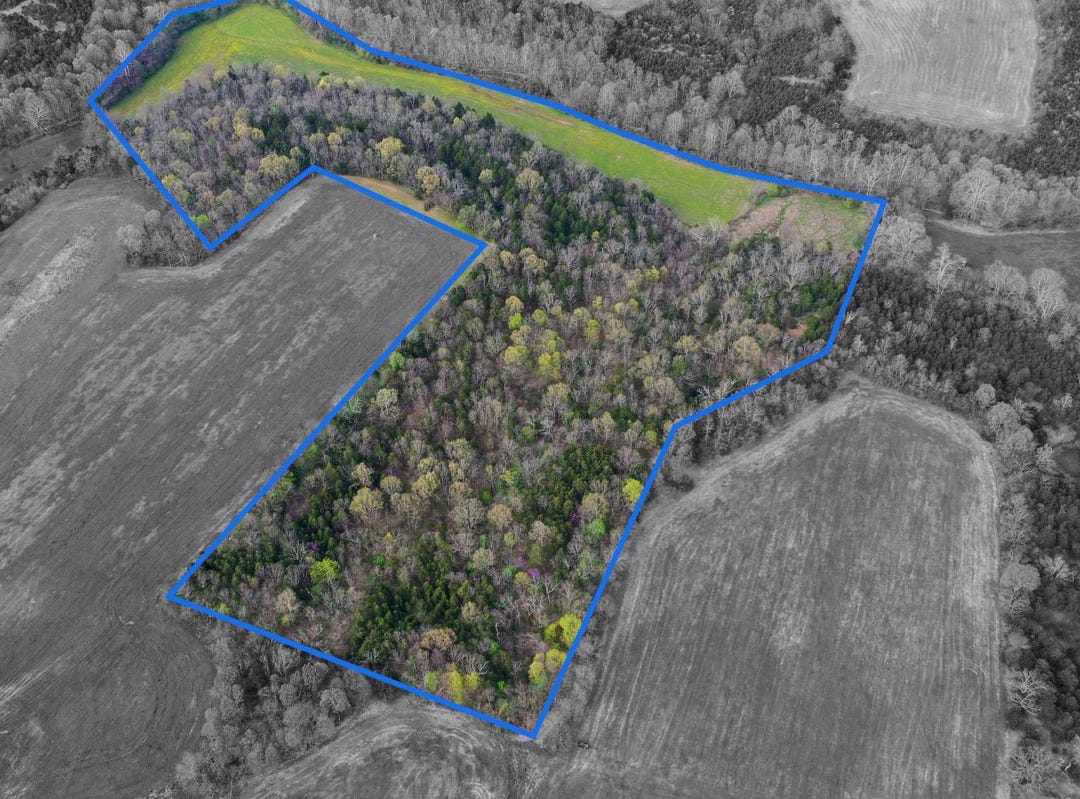 5200 Block Holy Cross Rd, Loretto, KY 40037 Other for Sale - RealEstate KH