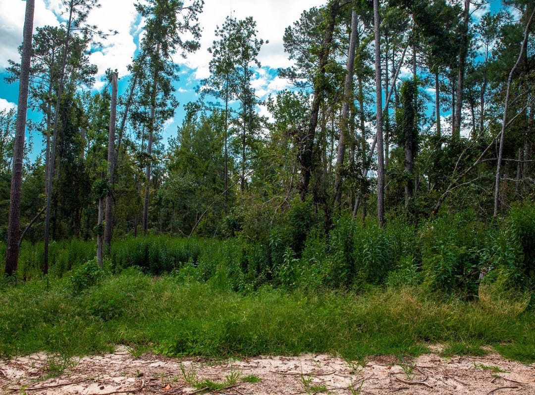 Furey Drive lot: 1, Clarks Hill, SC 29821 Other for Sale - realestate ...