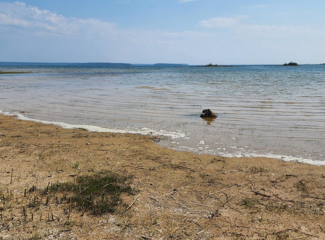 4989 W CEDAR RD, HESSEL, MI 49745 Other for Sale - RealEstate KH