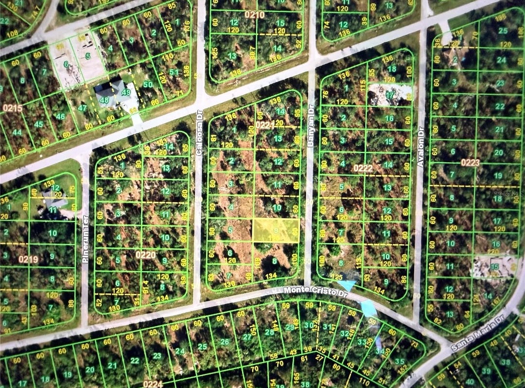 13263 BANYAN DRIVE, PUNTA GORDA, FL 33955 Other for Sale - realestate ...