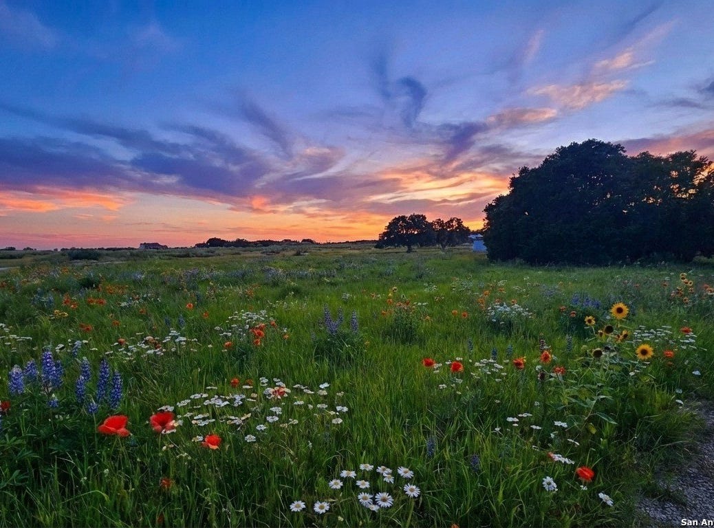 1148 Lariat Trace, Bandera, TX 78003 Other for Sale - realestate.com.au