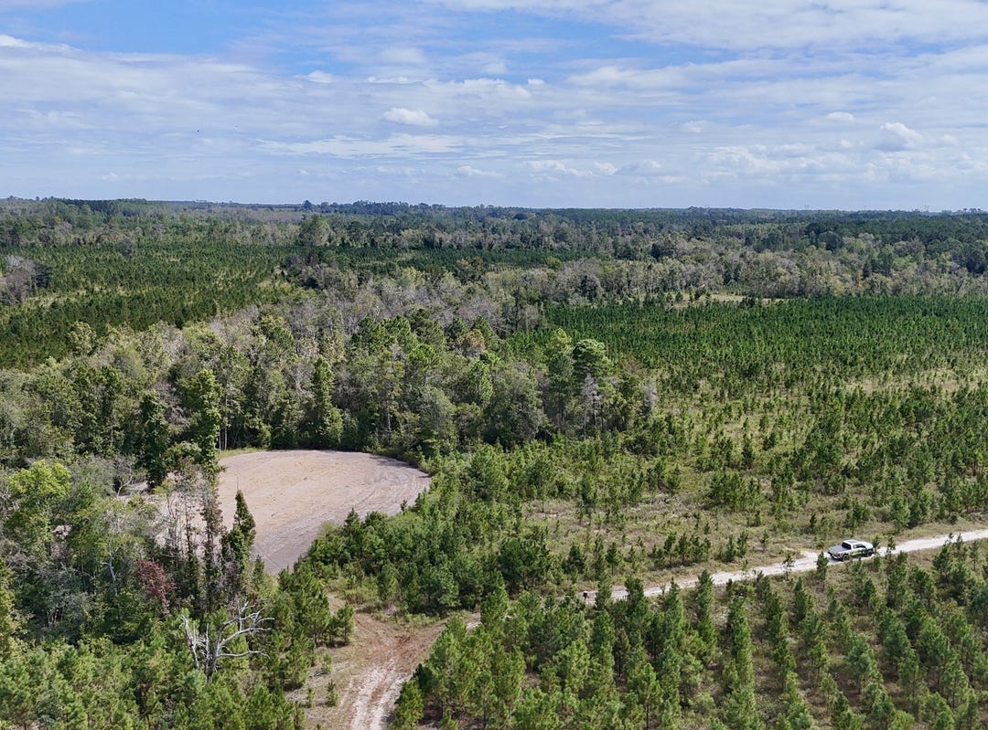 Ernest Carter Road, Hazlehurst, GA 31539 Other for Sale - RealEstate KH