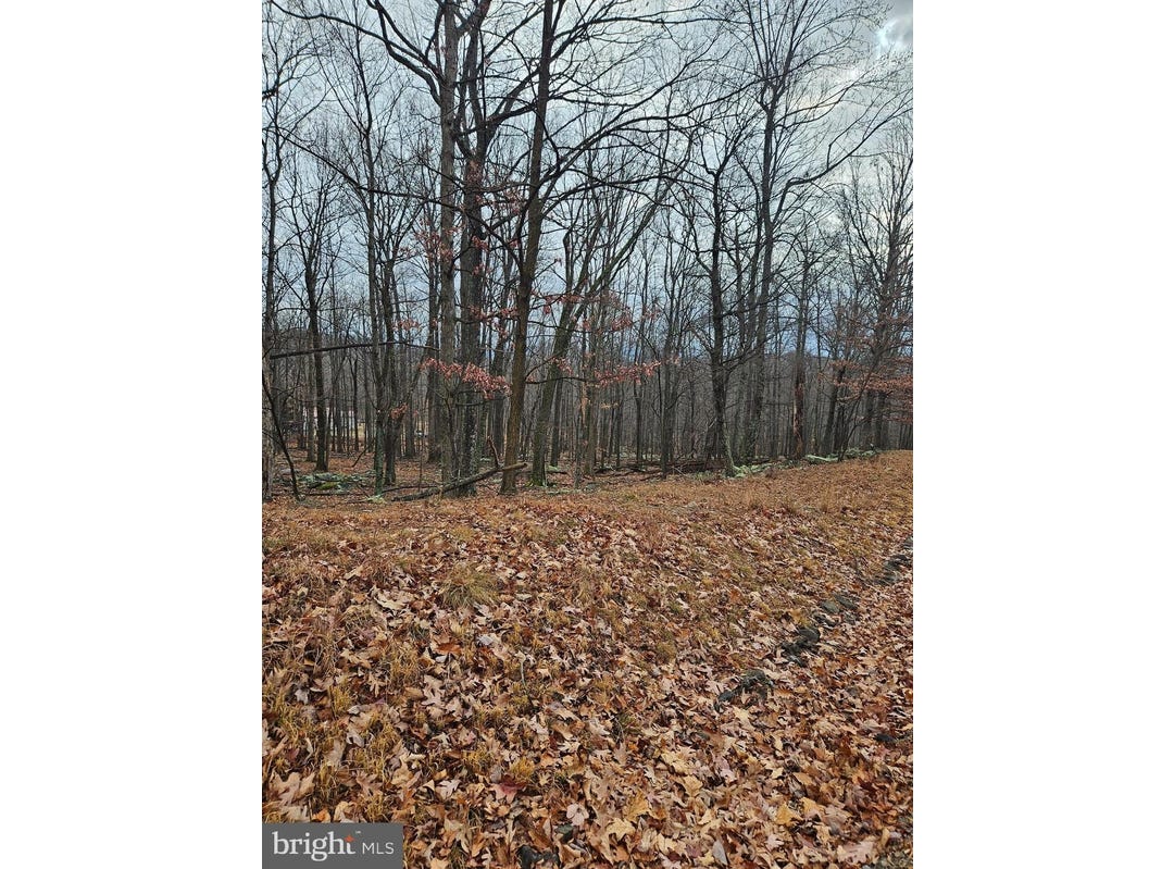 PARKSIDE TERRACE, BERKELEY SPRINGS, WV 25411 Other for Sale ...