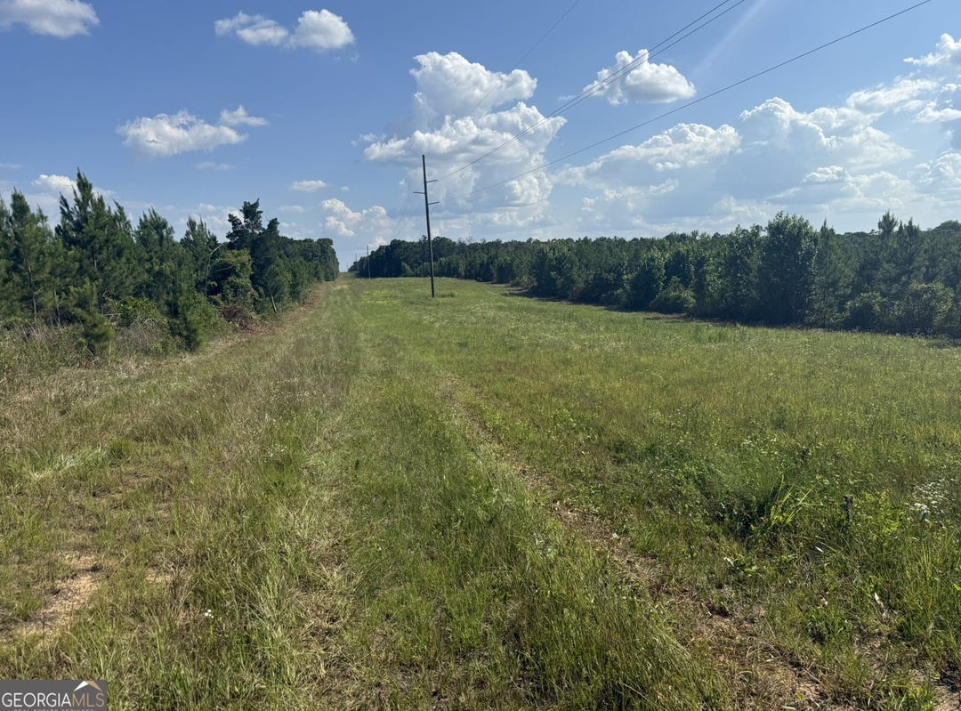 009 George Milling Road, Cuthbert, GA 39840 Other for Sale - realestate ...