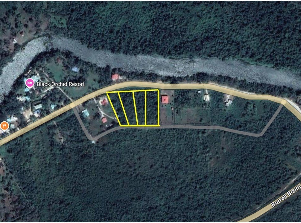 Burrel Boom Road, Burrell Boom, Belize City Land for Sale - realtor.com