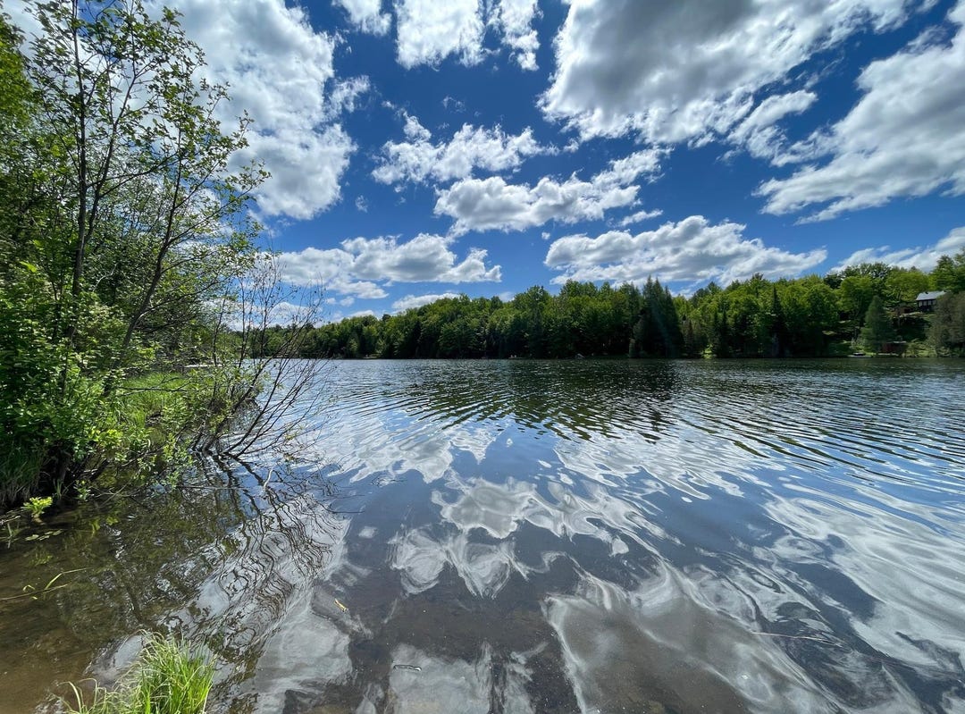 Ch. Sherritt, Gore, QC J0V1K0, CA, Gore, Québec Land for Sale - realtor.com
