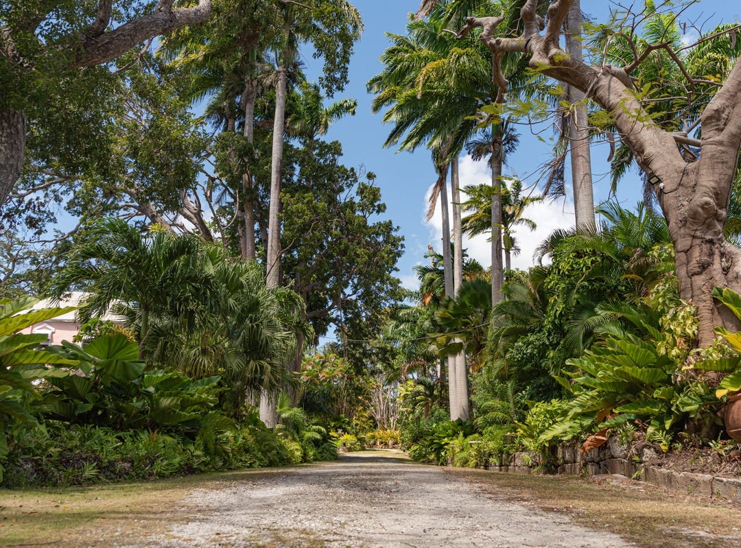 Ronald Mapp Highway, Lancaster, Saint James House for Sale - RealEstate KH