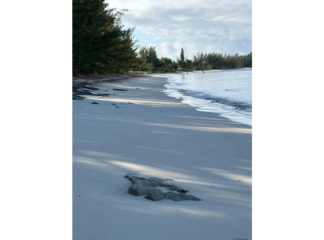 5 ACRES IN SANDY POINT, A, Abaco, North Abaco House for Sale ...