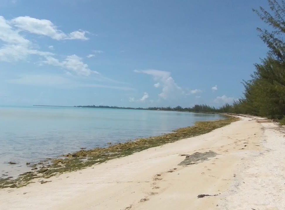 Last updated on : 23 Dec 2025