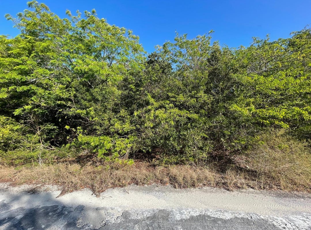 BAHAMA SOUND unit: Lot 1218, Exuma & Exuma Cays Land for Sale - realtor.com