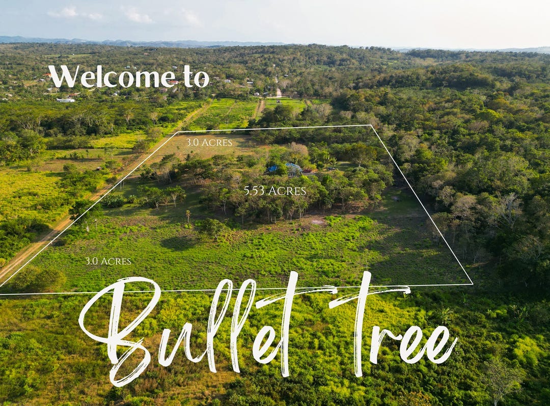 Unnamed Road, Bullet Tree Falls, Cayo District Land/Development for ...
