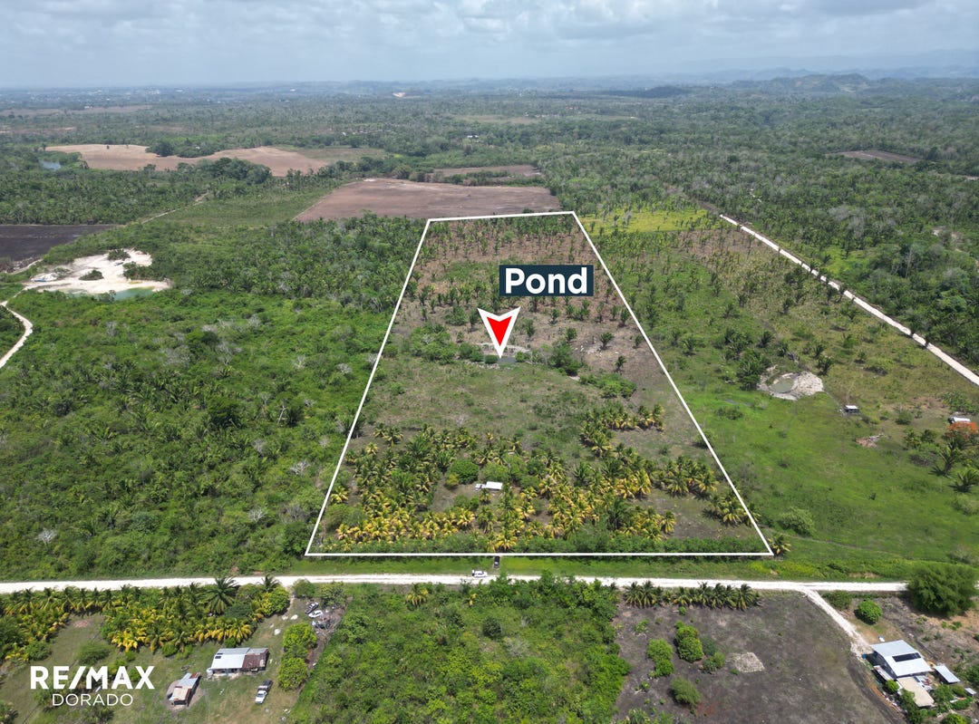 Close to Farmers express road, Valley of Peace, Cayo District, Valley ...