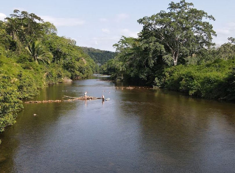 Near the river, Cristo Rey, Cayo District, Cristo Rey, Cayo District ...