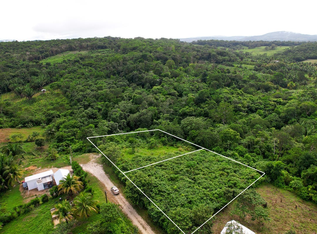 Unnamed Road, Bullet Tree Falls, Cayo District Land/Development for ...