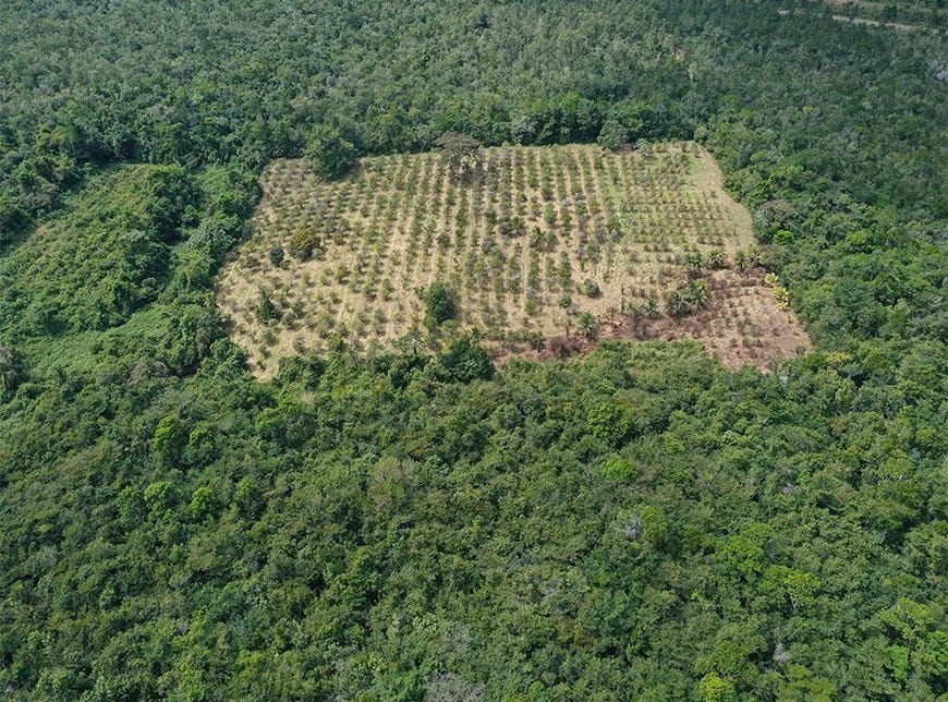 Southern Highway, Stann Creek District, Stann Creek District Land ...