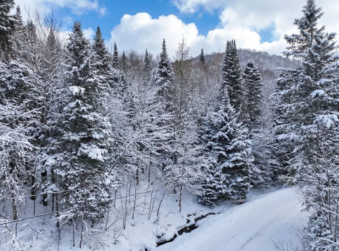 Rue Morin, Val-Morin, QC J0T2R0, CA, Val-Morin, Québec J0T2R0 Land ...