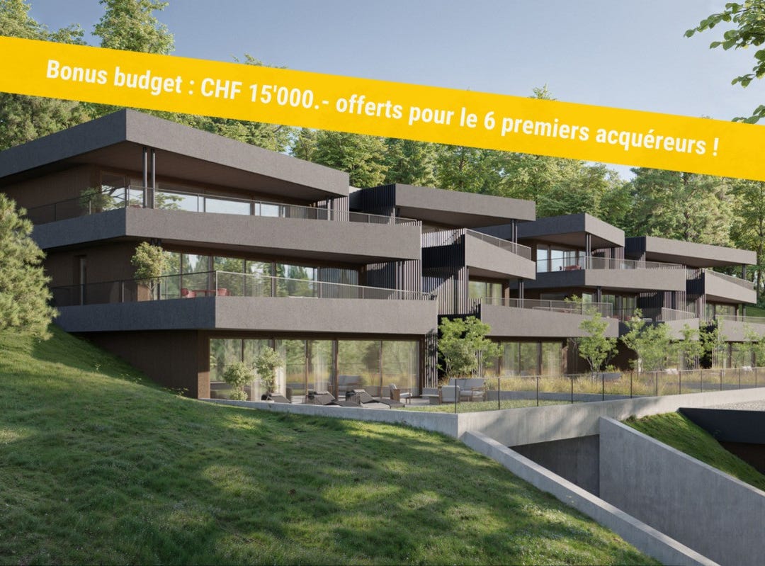 Route de la Combettaz 10, Drône (Savièse), Valais 1965 Apartment for ...