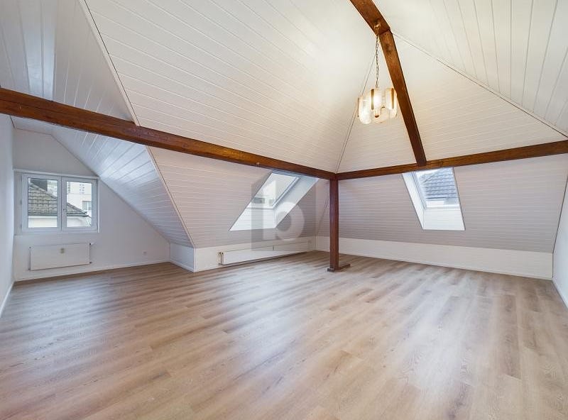 Rorschach, St. Gallen 9400 Apartment for Rent - realestate.com.au