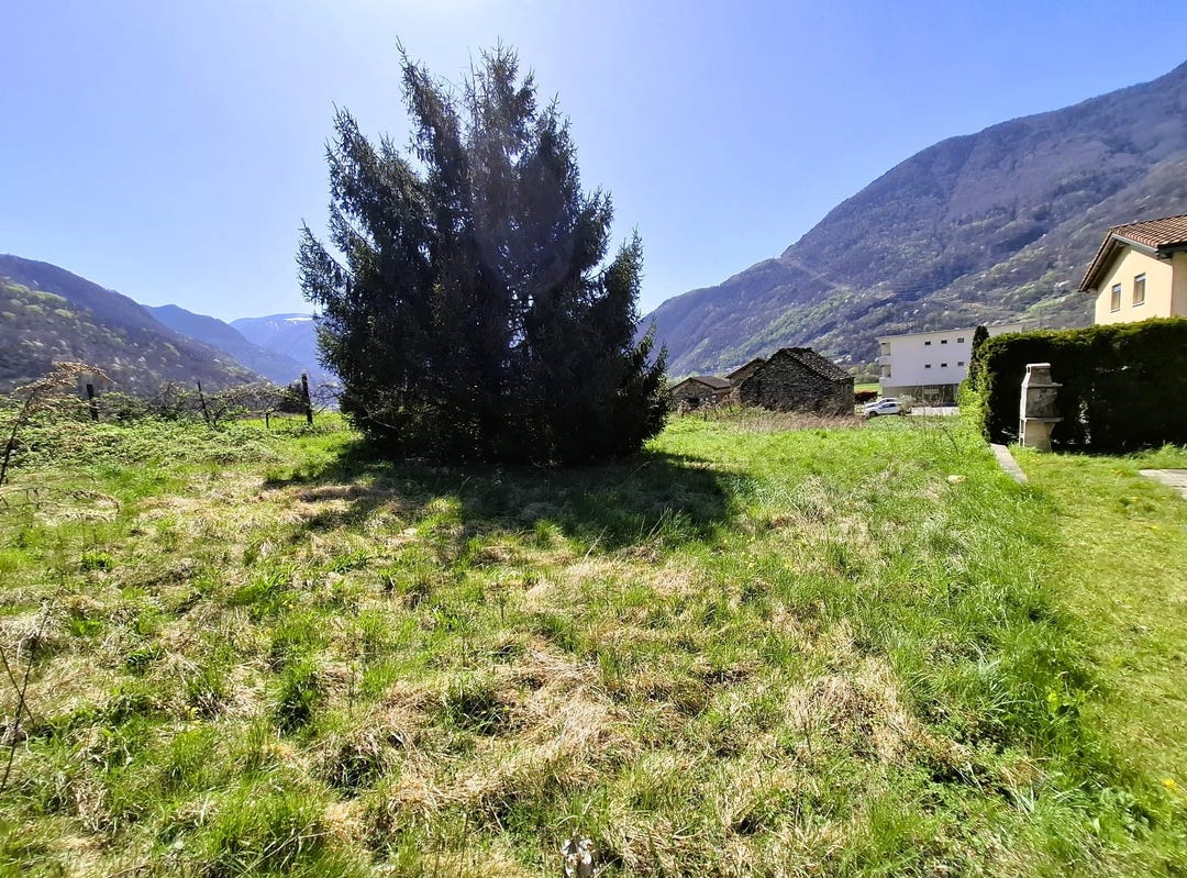 Bellinzona, Ticino 6702 Land/Development for Sale - realestate.com.au