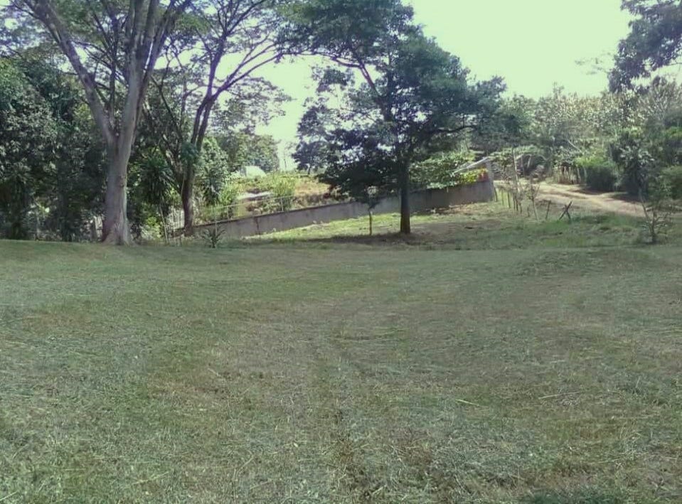 Orotina, Coyolar, Santa Rita, Calle Naranjales, Orotina, Alajuela ...