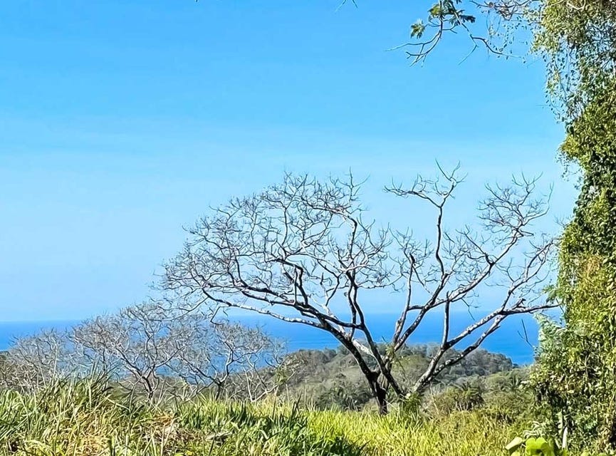 Last updated on : 15 Jan 2026