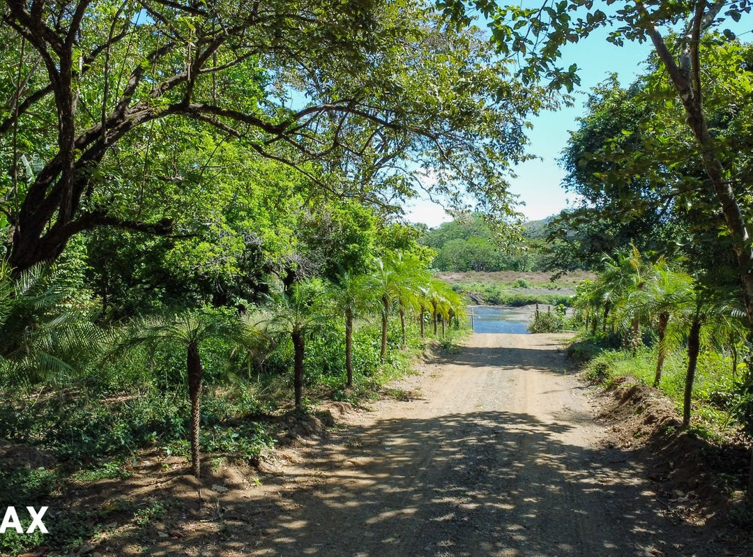 Nosara Centro, Nosara, Guanacaste, Nosara, Guanacaste Province Land for ...