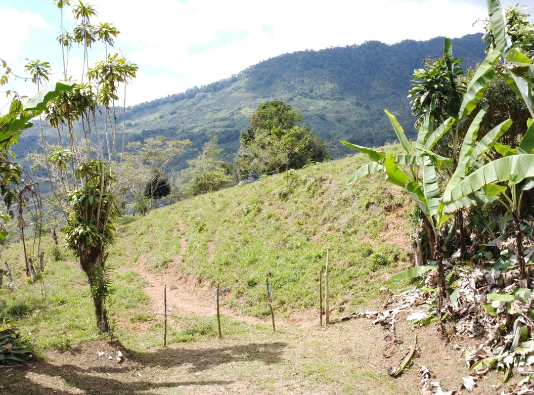 San Ramon Norte, Pérez Zeledón, San José, Pérez Zeledón, San José Land ...