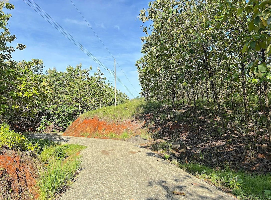 San Andres, Matapalo, Quepos, Savegre de Quepos, Puntarenas, Savegre de ...