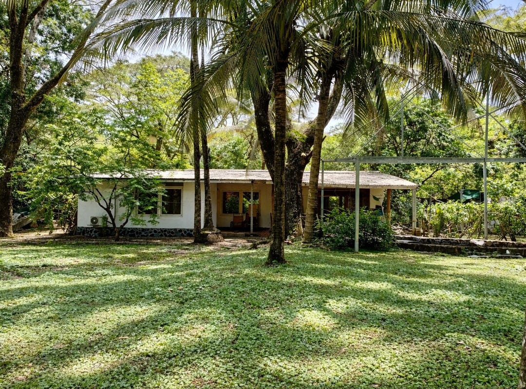 Esterones 250 before Mar Azul, Playa Barrigona, Guanacaste, Playa ...