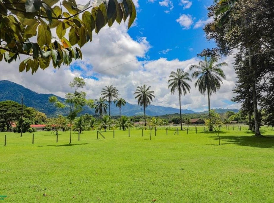 Ruta Nacional 243 60502, Palmar Sur, Osa, Puntarenas, Osa, Puntarenas ...