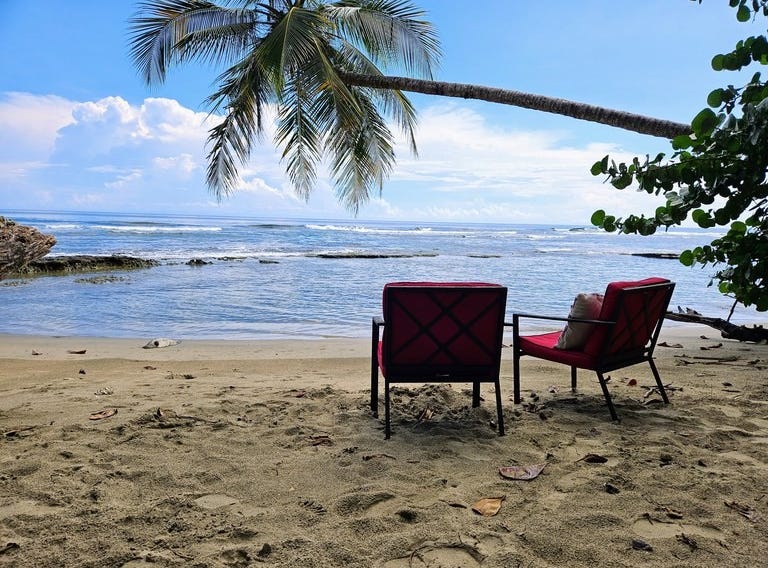 Beachfront Hotel: Seize Paradise: Your Caribbean Beachfront Hotel ...