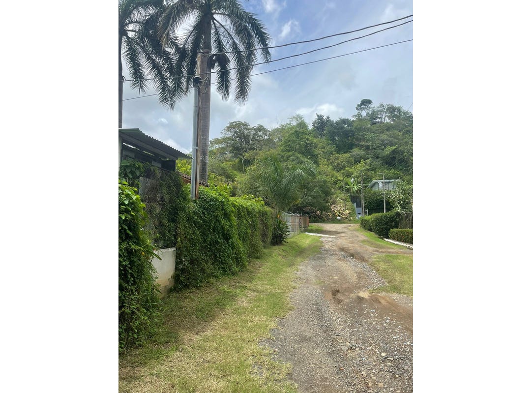 Calle El Bosque, Playa Hermosa, Hermosa Beach, Puntarenas, Hermosa ...