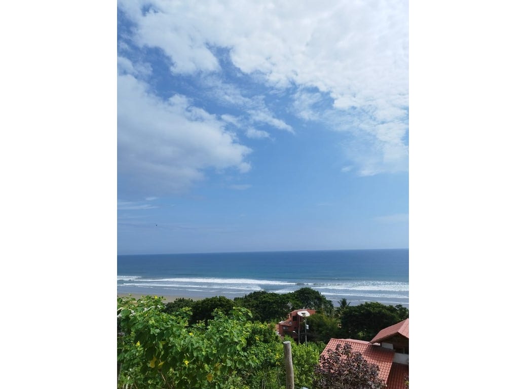 Endless Ocean Views and Humpback Whales - If This Property Does Not Get ...