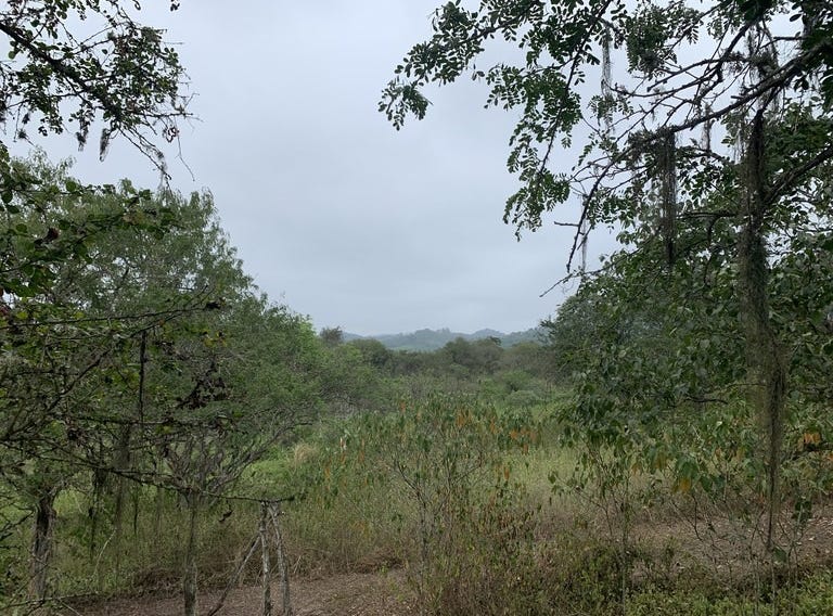 This is Your Chance! 10 Minutes from Ayampe!, Puerto Rico, Manabí ...