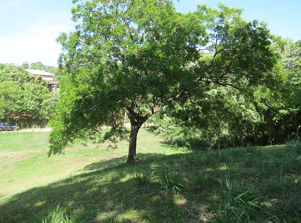 Last updated on : 15 Jan 2026