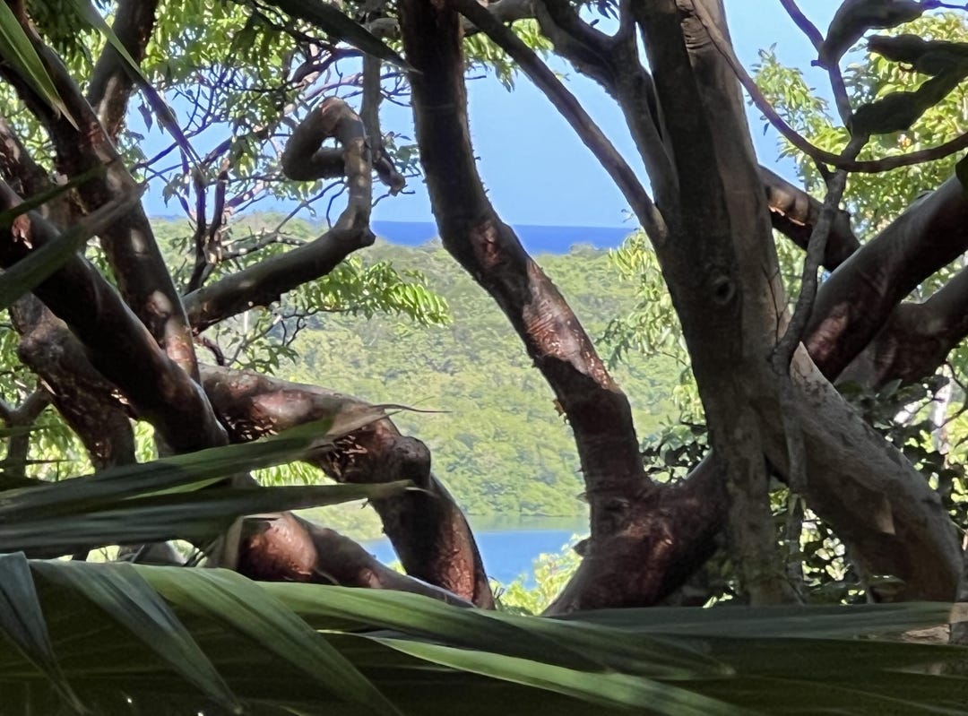 Parrot Tree Plantation, Roatan, Bay Islands Department Land for Sale ...