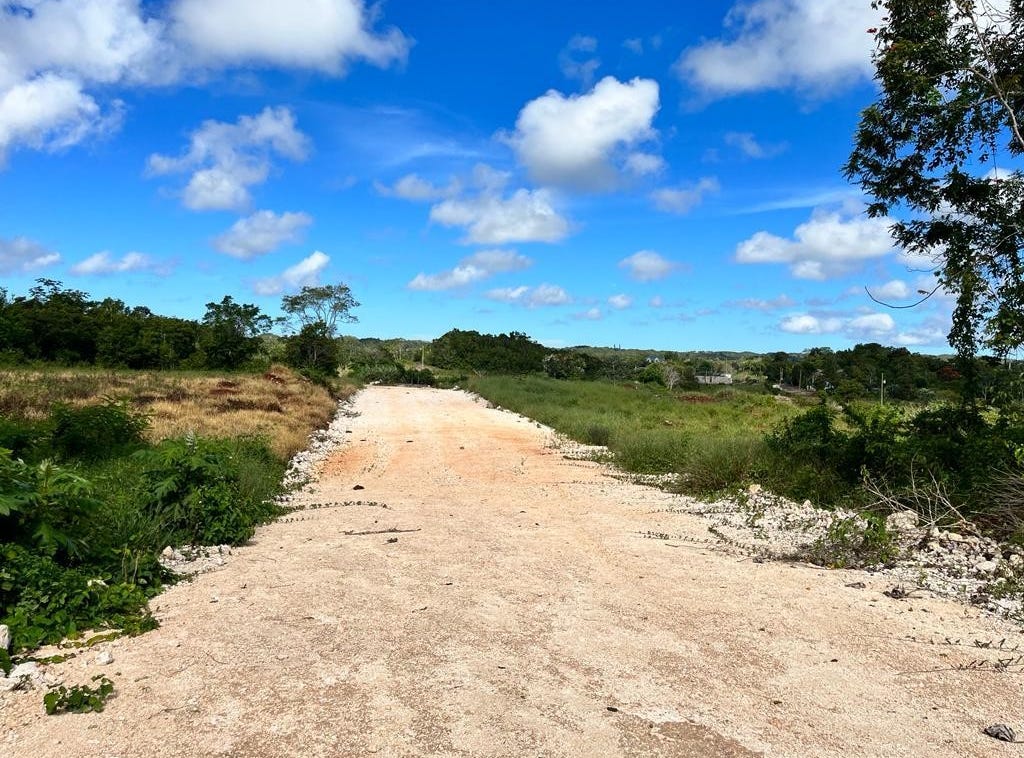 XFHV+MWV, Knockpatrick, Jamaica, Knockpatrick, Manchester Parish Land ...