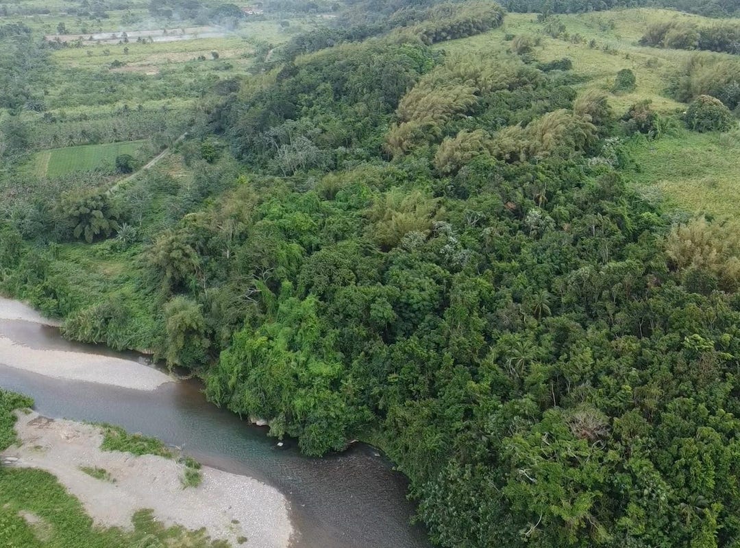 PEAR TREE RIVER ST. THOMA, Pear Tree River, Saint Thomas Parish Land ...