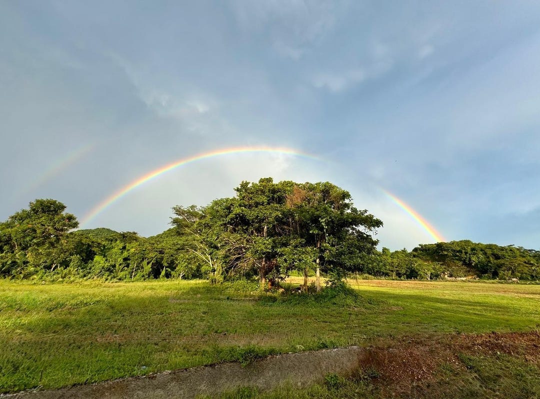 Last updated on : 15 Jan 2026