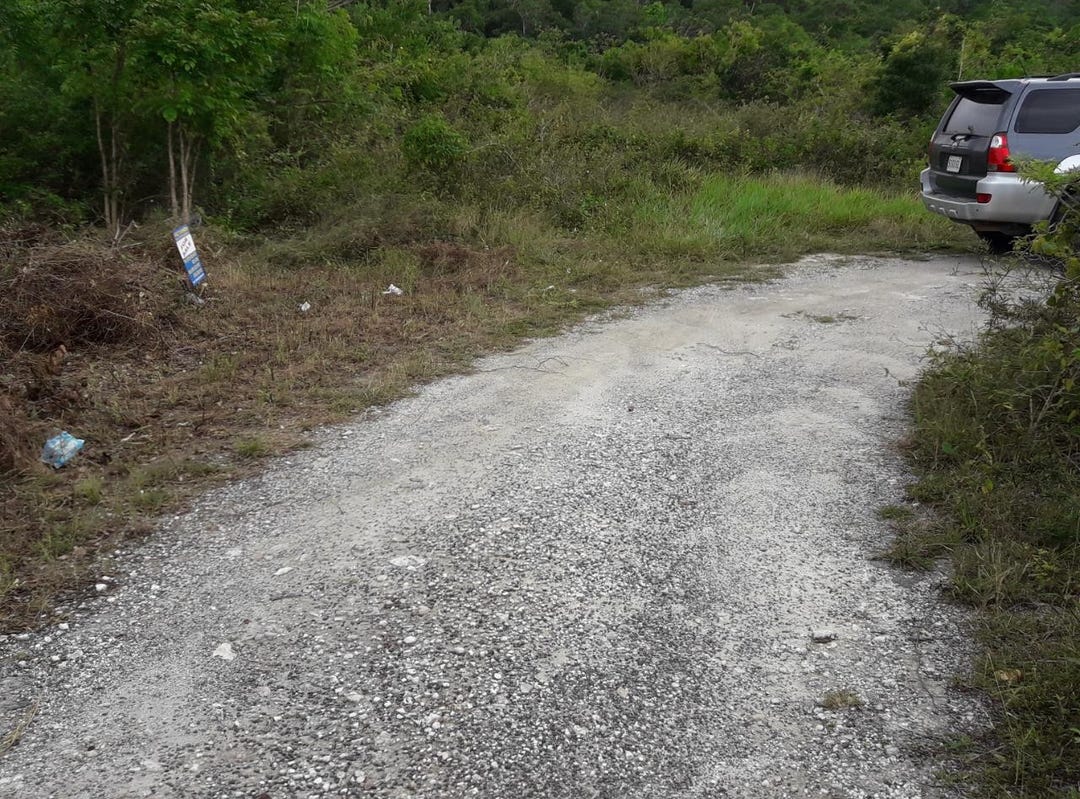 19 DAIRY, DISCOVERY BAY unit: Lot, Discovery Bay, St. Ann Parish Land ...