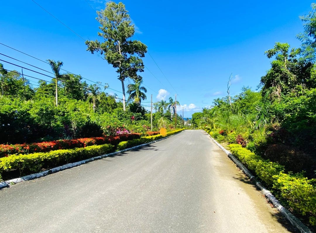 TOWER ISLE, Tower Isle, St. Mary Parish Terra para venda - realtor.com